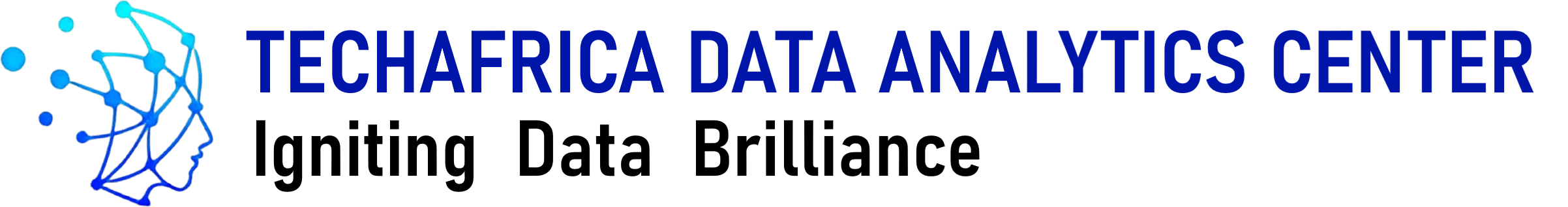 TechAfrica Data Analytics Center